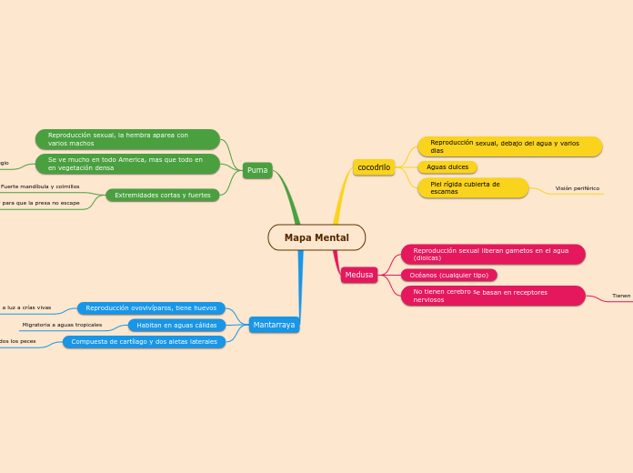 Reino Animal - Mind Map